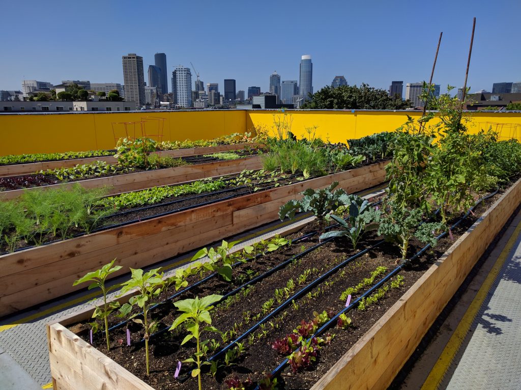 Rooftop Farm | Capitol Hill Urban Cohousing